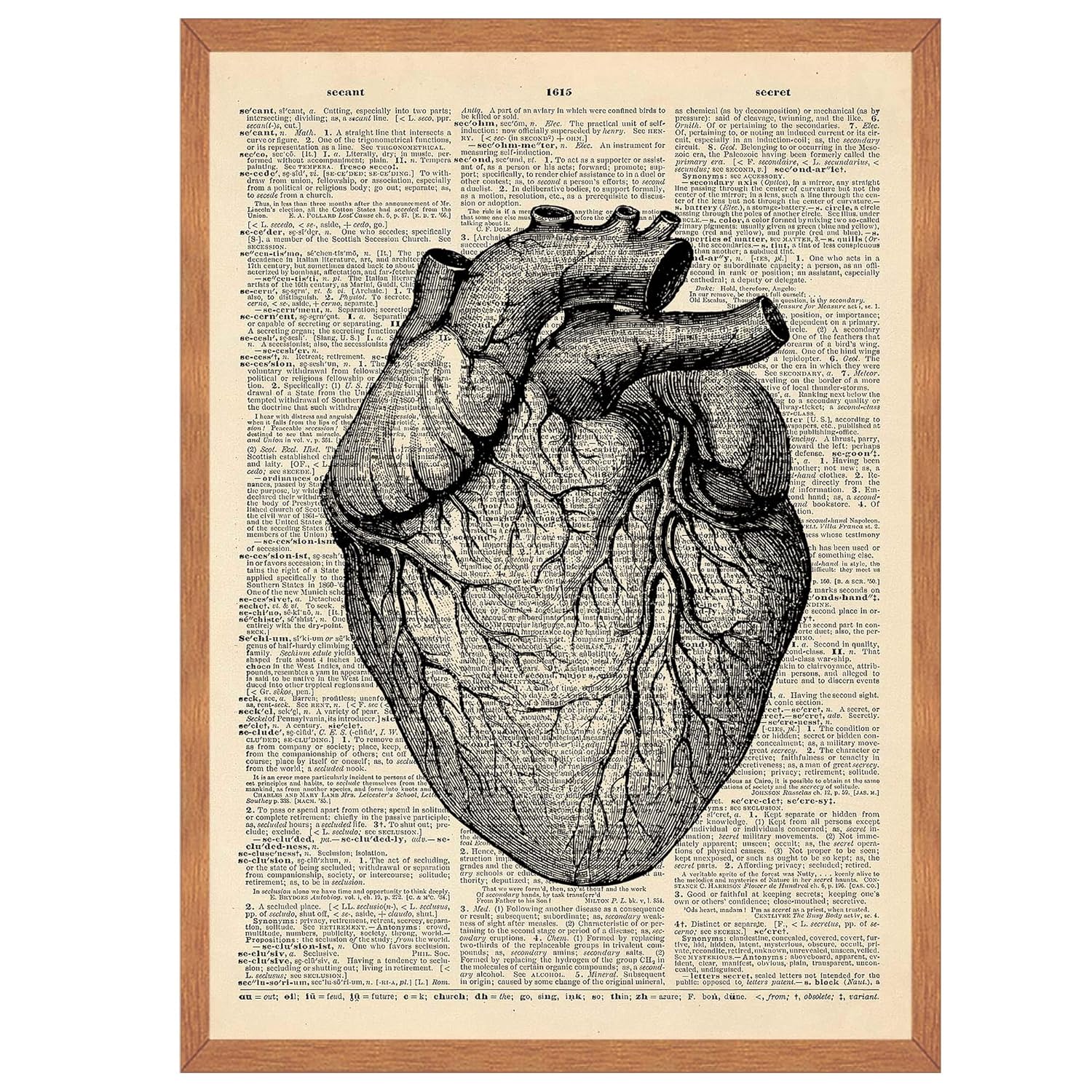 Amazon.com: Heart Anatomy Poster, Anatomy canvas print, Heart vintage ...