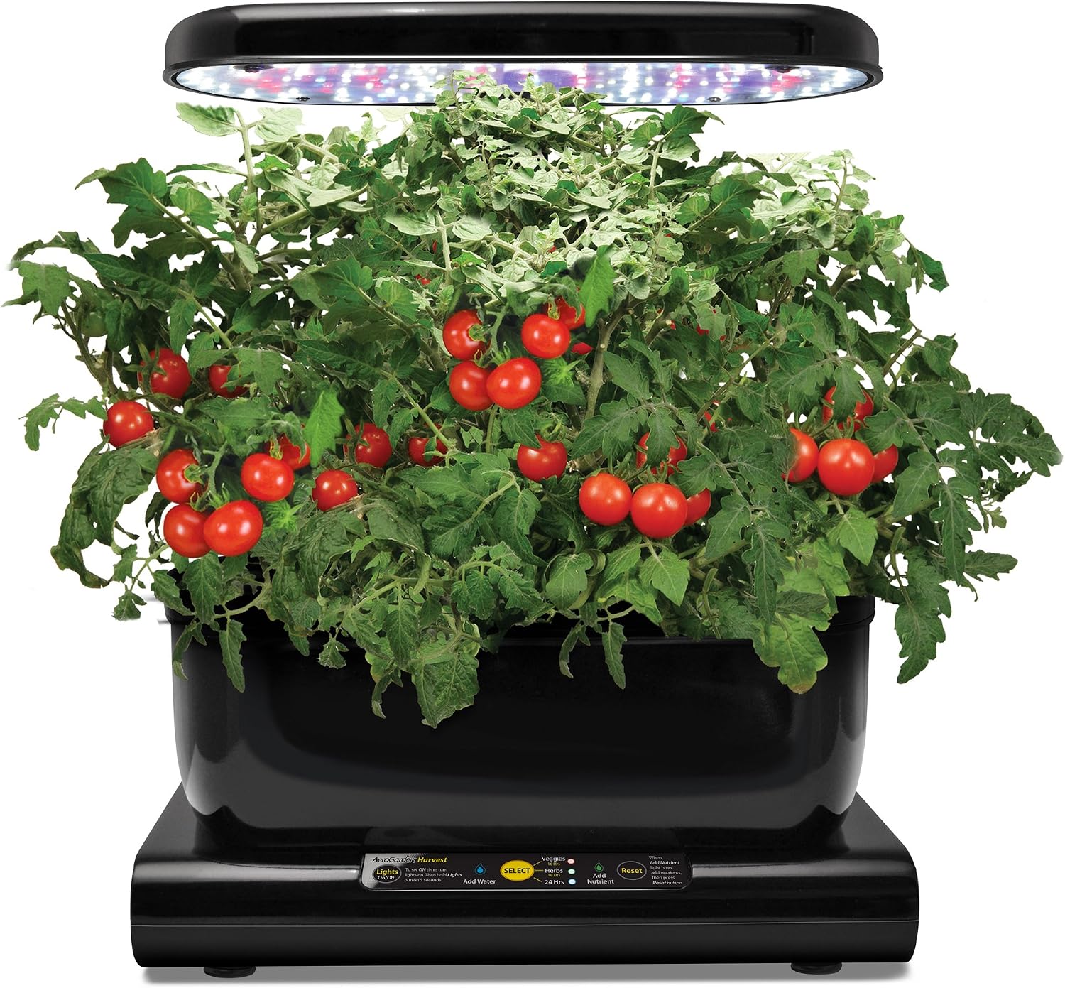 AeroGrow Heirloom Cherry Tomato Seed Pod Kit, 6 - BigaMart