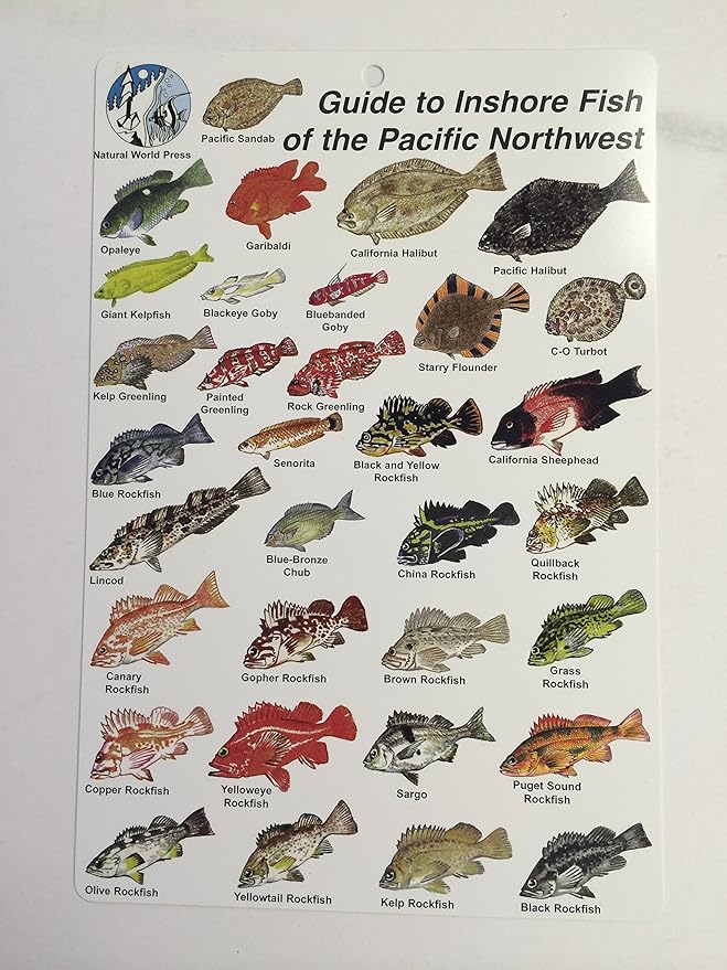 Inshore Fish of The Pacific Northwest.: Amazon.ca: Sports & Outdoors