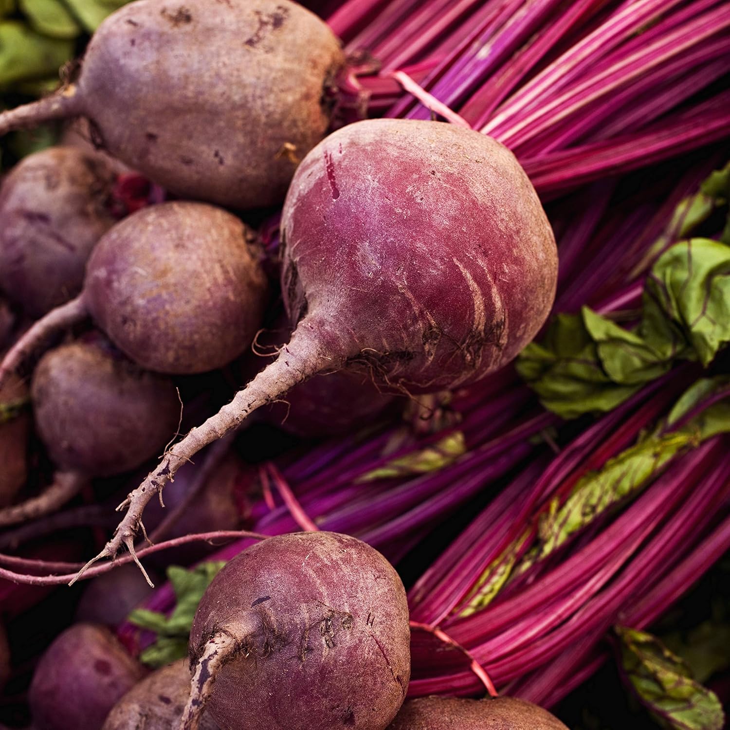 High Germination Beetroot Seeds Beet Seeds Heirloom Vegetable Garden ...