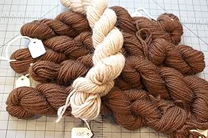 Amazon.com: Appleton Needlepoint Tapestry Wool Yarn-Colors 182 &186 ...