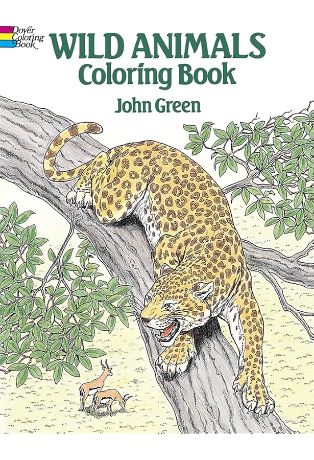 32 North America Coloring Page Canadian Animals Mammals Animal