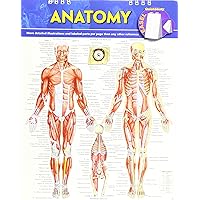 Anatomy Easel Book: A Quickstudy Reference Tool (Quick Study Easel): Perez, Vincent ...