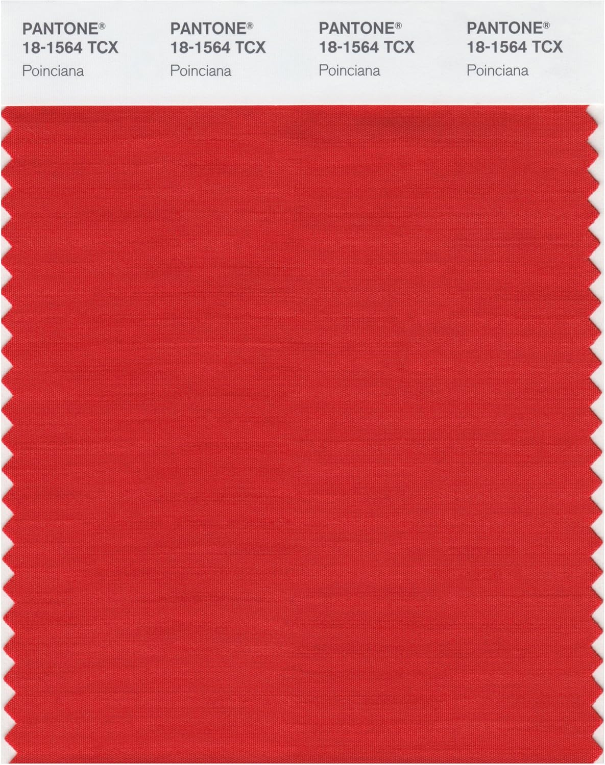 Pantone Tcx Smart Color Swatch Card Poinciana House Paint The Best pantone-tcx-smart-color-swatch-card-poinciana-house-paint-the-best