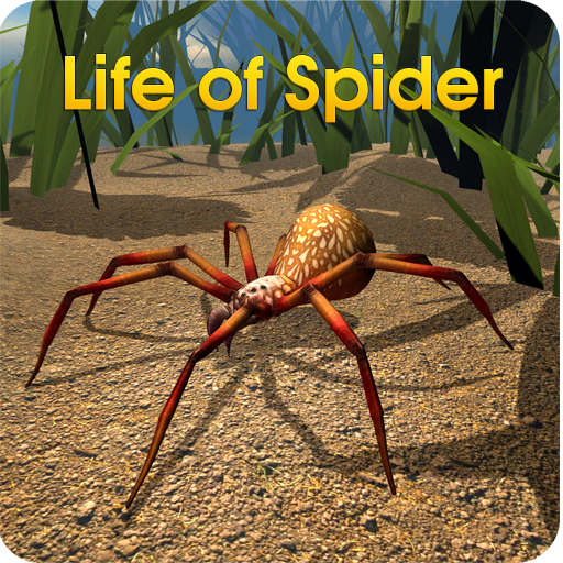 Amazon.com: Life of Spider : Apps & Games
