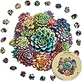 Amazon.com: Crafthub Flowers Wooden Puzzles for Adults – A3 Mandala Succulent Plants with 152 ...