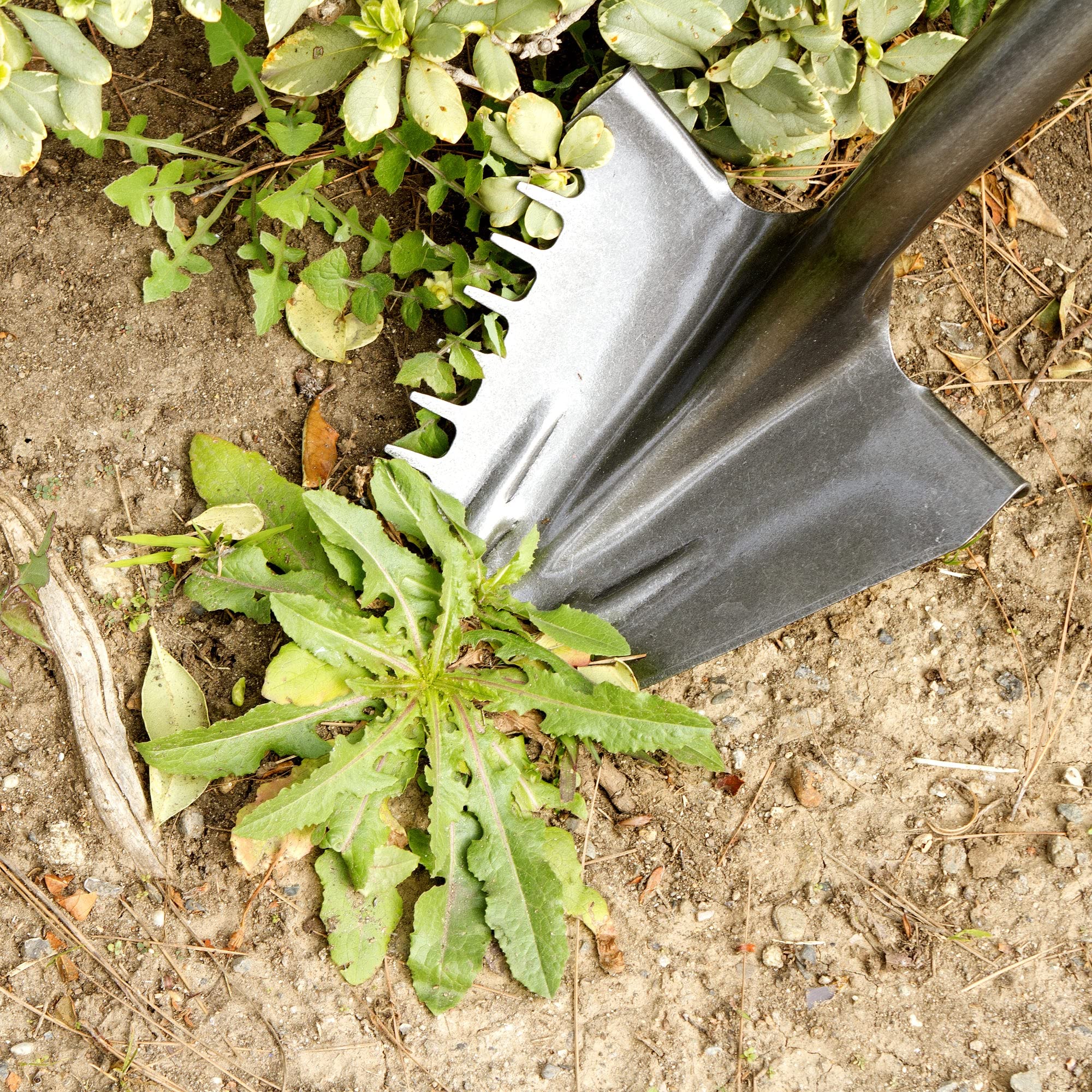 Mua Weedhunter Spade Shovel Rotating Handle for Weeds Roots Digging ...