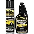 Amazon.com: Raggtopp Convertible Top Care Kit - Fabric Cleaner and ...