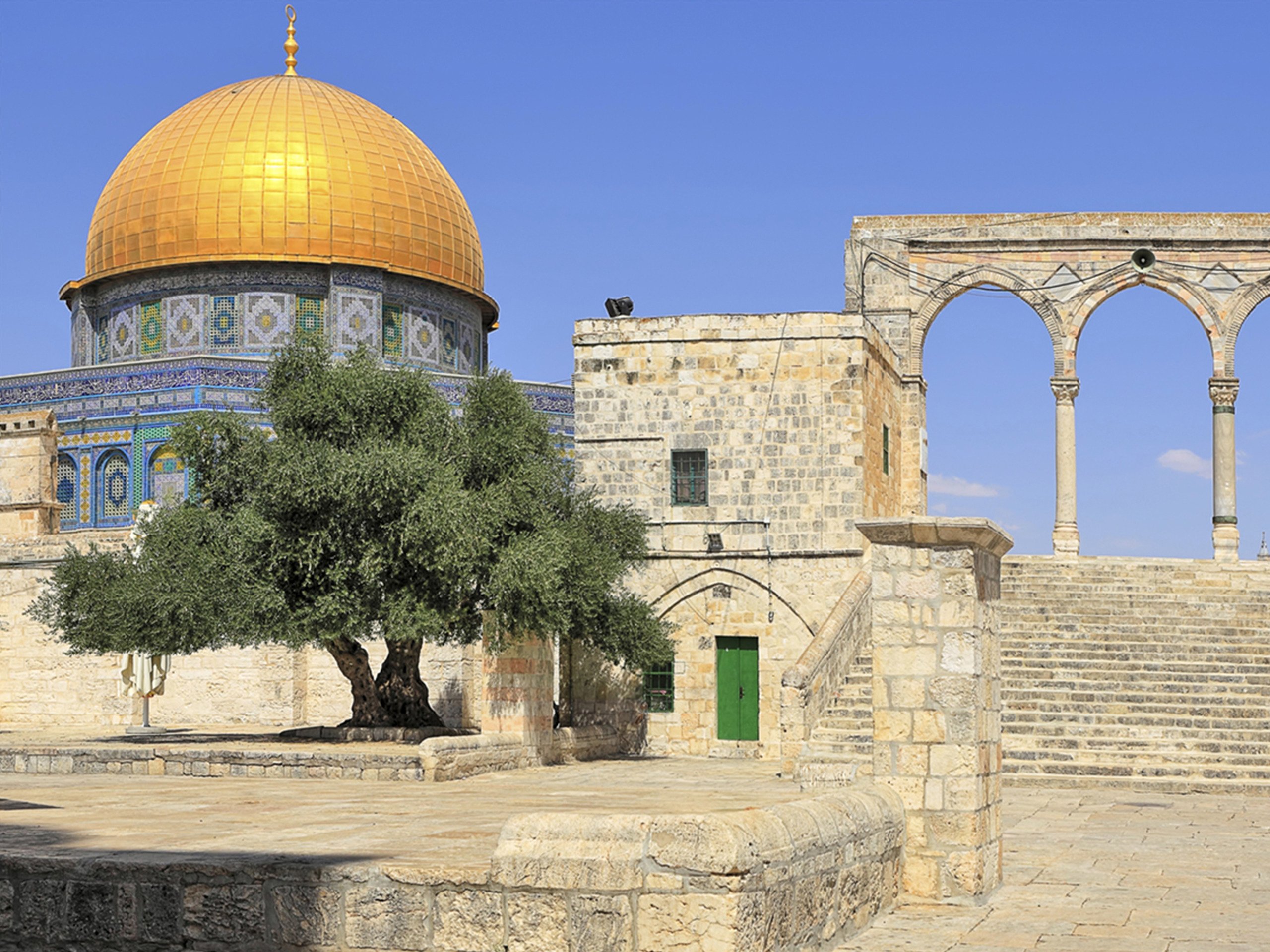 Watch Holy Land Revealed | Prime Video