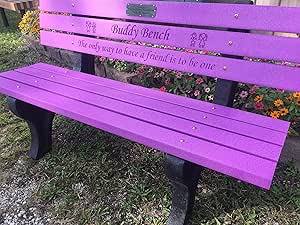 Amazon.com: Buddy Bench with Recycled Plastic Frames (Any Color ...