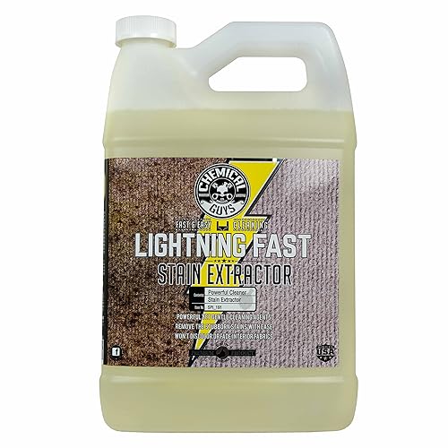 Chemical Guys SPI_191 Lightning Fast Carpet and Upholstery Stain ...