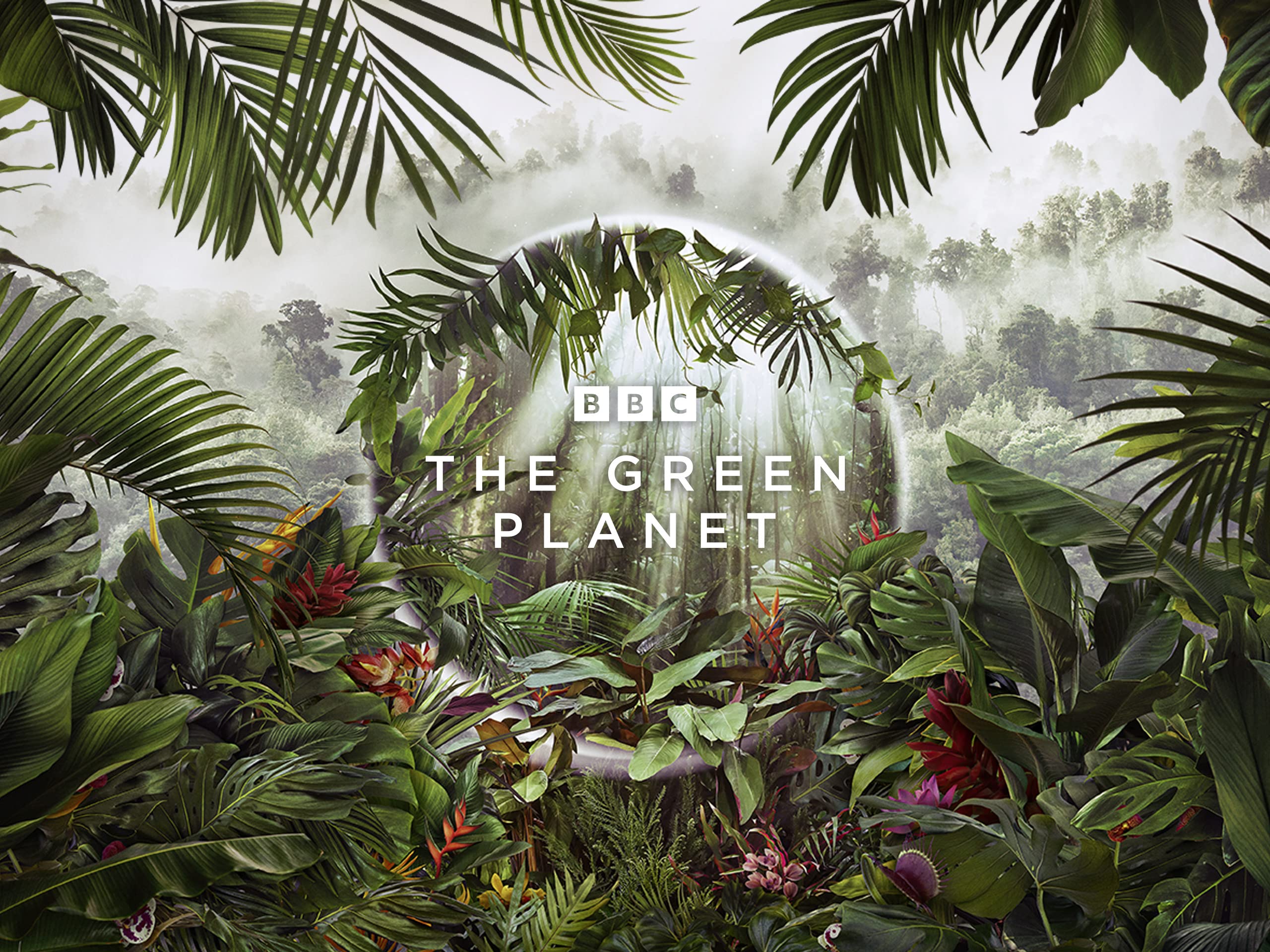 Watch The Green Planet | Prime Video