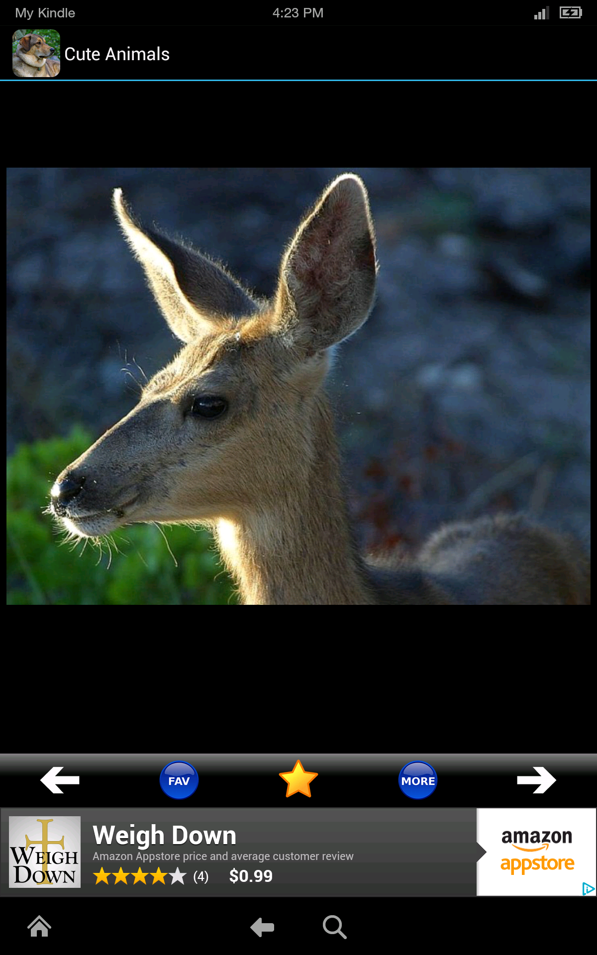 Adorable & Cute Animals!!! Tons of Cute Animal Pictures & Wallpapers of ...