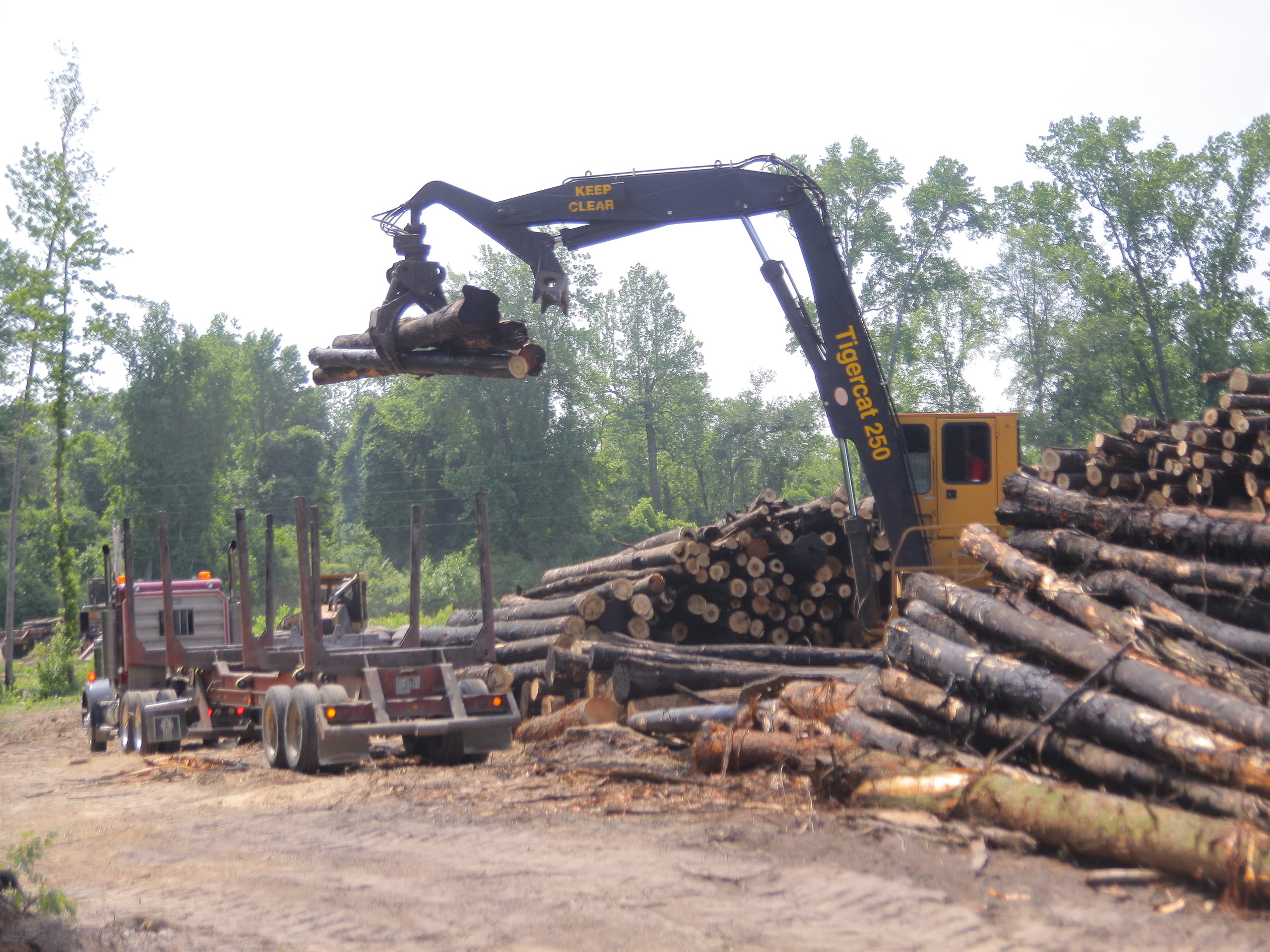 Watch Swamp Loggers - Season 1 | Prime Video