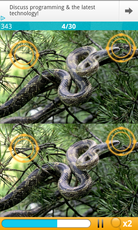 Find Differences-safari park:Amazon.com:Appstore for Android