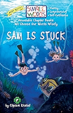 Amazon.com: S.P.I.R.E. Decodable Readers, Set 2A – 10 Titles (SPIRE ...