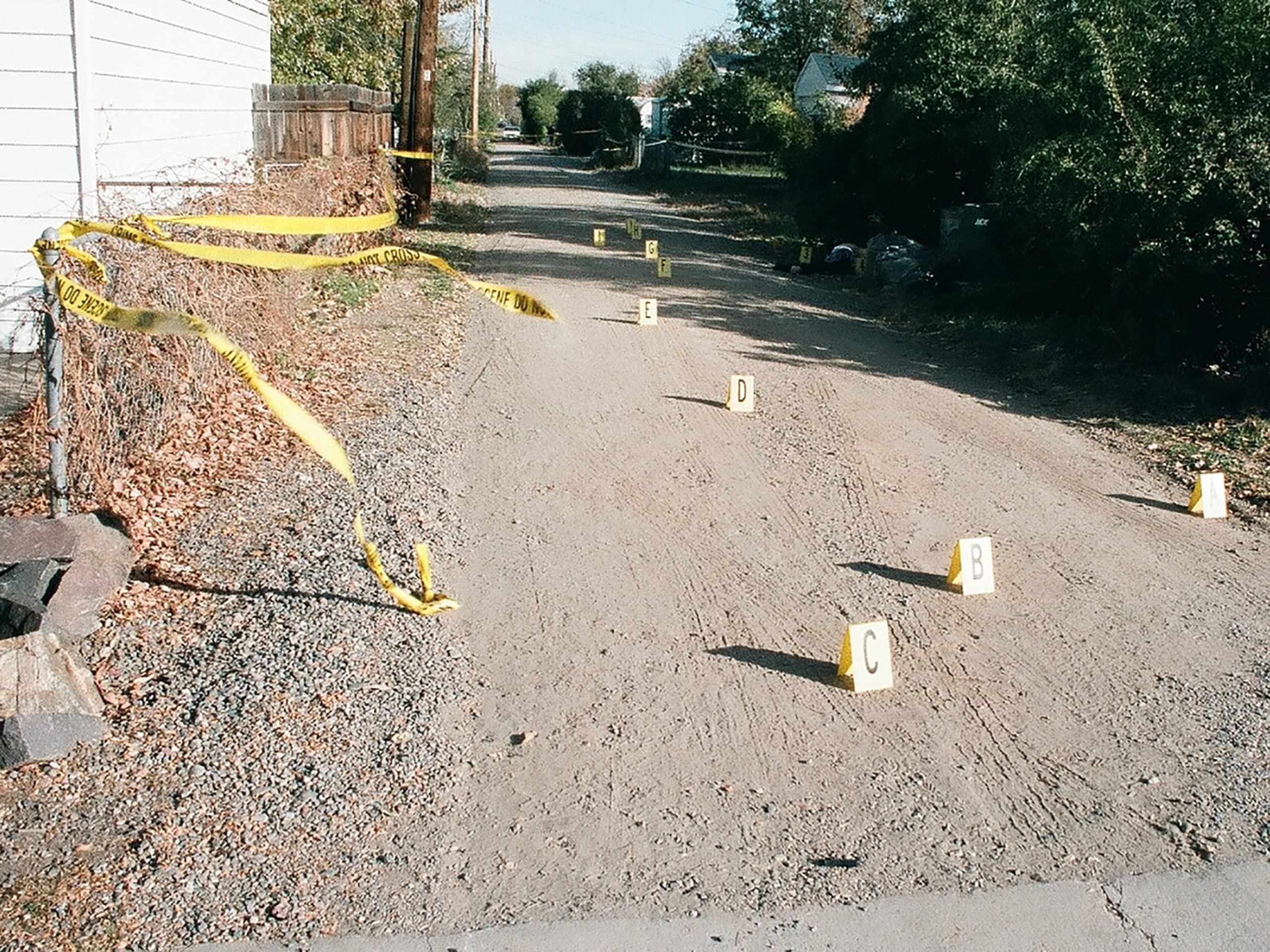 Watch Bloodline Detectives - Season 1 | Prime Video