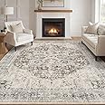 Amazon.com: Area Rug Living Room Rugs - 10x12 Washable Boho Rug Vintage ...