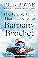 The Terrible Thing That Happened to Barnaby Brocket: Amazon.co.uk: John ...