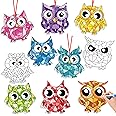 Amazon.com: BeYumi Coloring Owl Craft Kit - 83Pcs Back to School Color ...