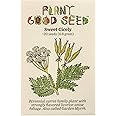 Amazon.com : Plant Good Seed Sweet Cicely Seeds - Pack of 20, Heirloom ...