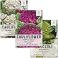 Amazon.com : Seed Needs, Cauliflower Seed Packet Collection (3 ...