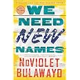 Amazon.com: We Need New Names: A Novel: 9780316230841: Bulawayo ...