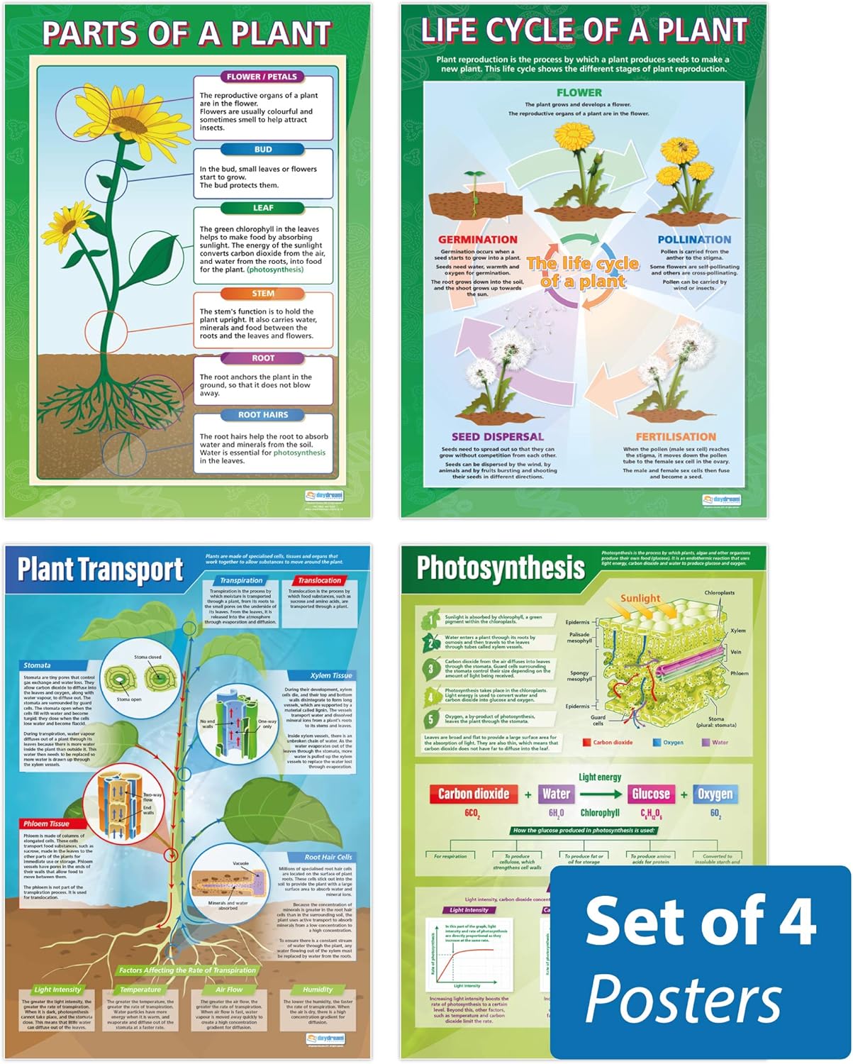 Plants Posters - Set of 4 | Science Posters | Gloss Paper measuring ...