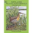 Wetlands Plants and Animals Coloring Book: Annika Bernhard ...