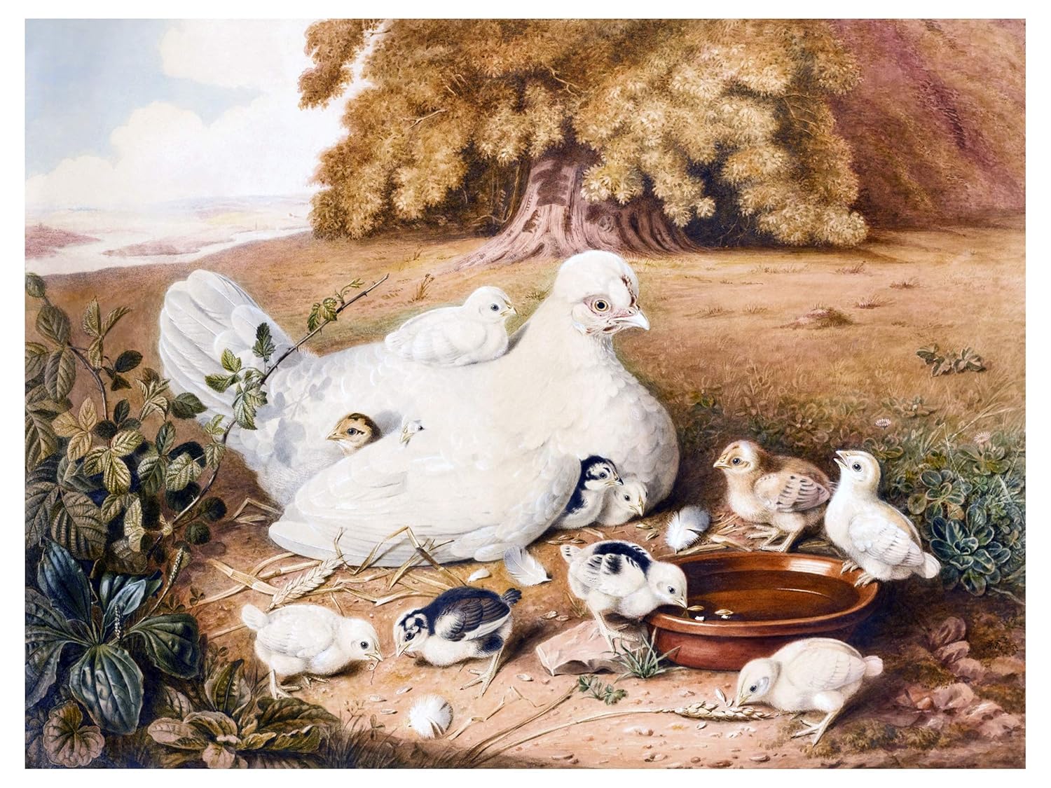 Hen with Chicks A. Withers Chickens Tile Mural Kitchen Backsplash ...