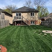 Toro 20601 Lawn Striping System: Amazon.ca: Patio, Lawn & Garden