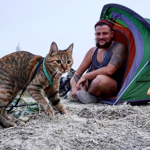 Nala's World: One man, his rescue cat and a bike ride around the globe ...