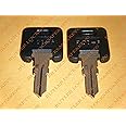 Amazon.com: RV Motorhome Trailer Keys Cut to Lock/Key Number from HF301 ...