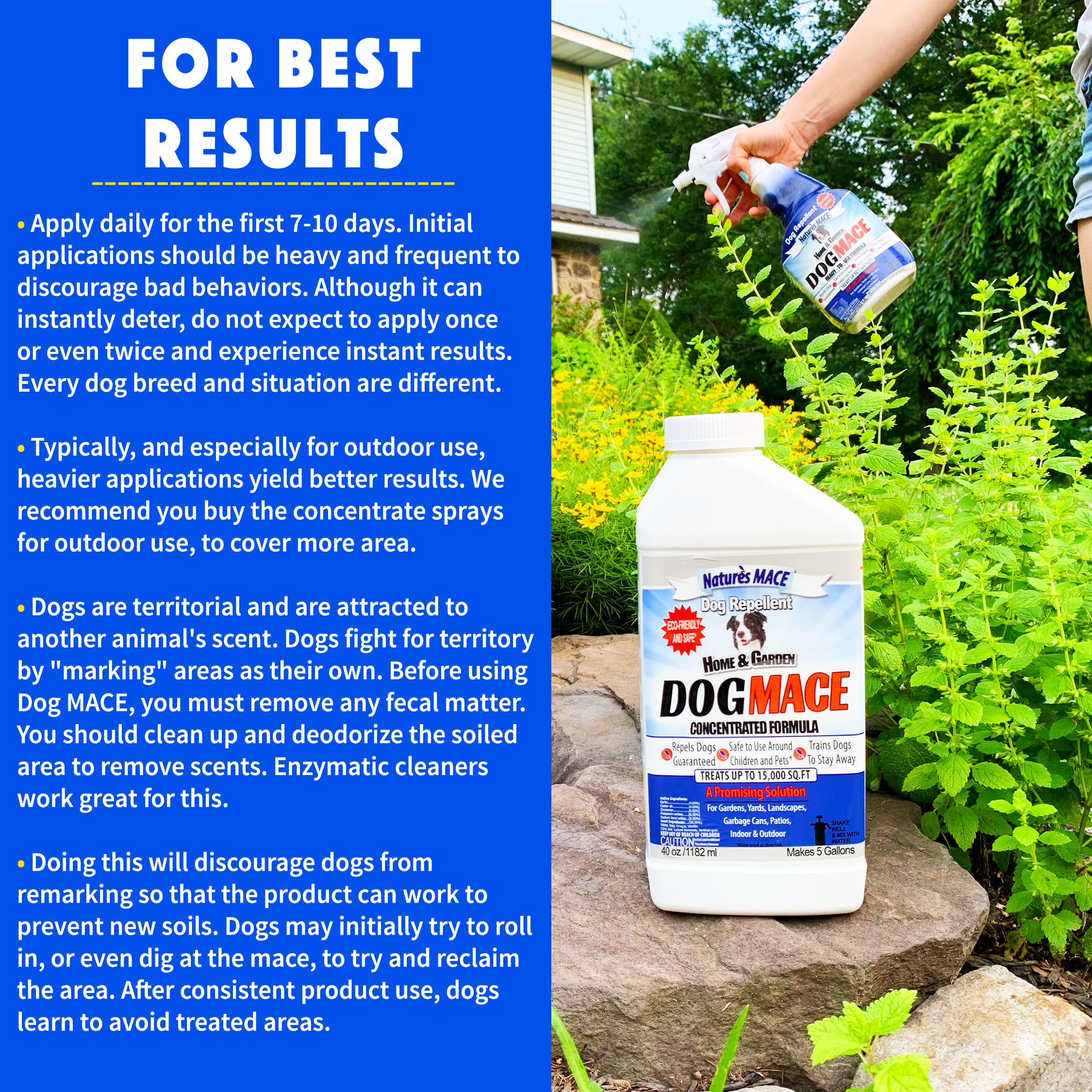 Mua Nature’s MACE Dog Repellent 40oz Spray,Treats 1,000 Sq. Ft., Keep ...