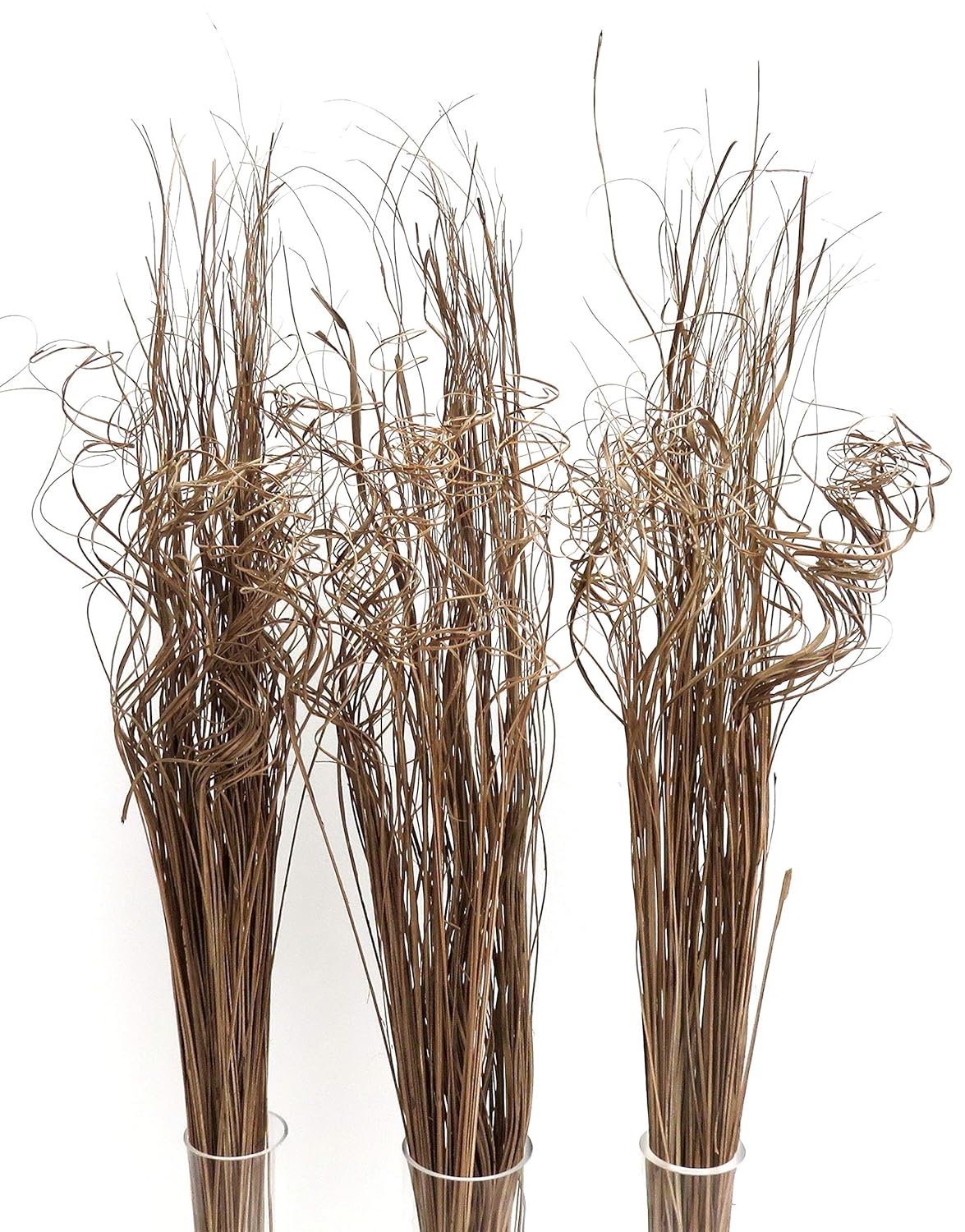 3 Bunches Unique Indian Natural wavy grass 90 cm tall approximately ...