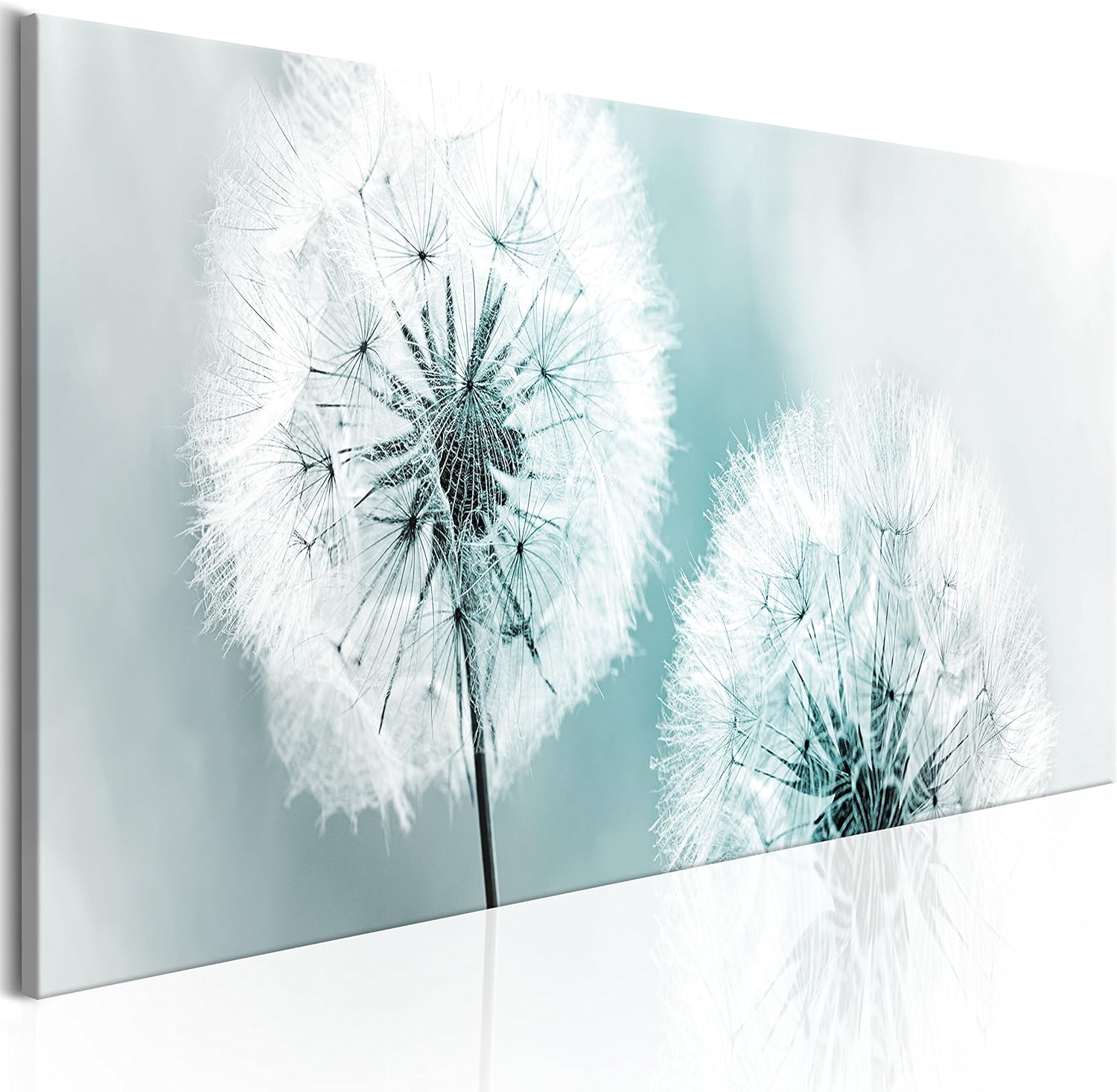 murando - Bilder Pusteblume 120x40 cm Vlies Leinwandbild 1 TLG ...