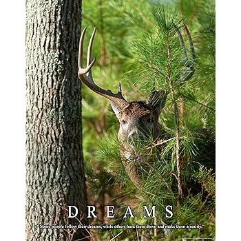 Amazon.com: Whitetail Deer Motivational Poster Art Print 11x14 Bow ...