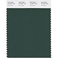 PANTONE Smart 19-5920X Color Swatch Card, Pineneedle - House Paint ...