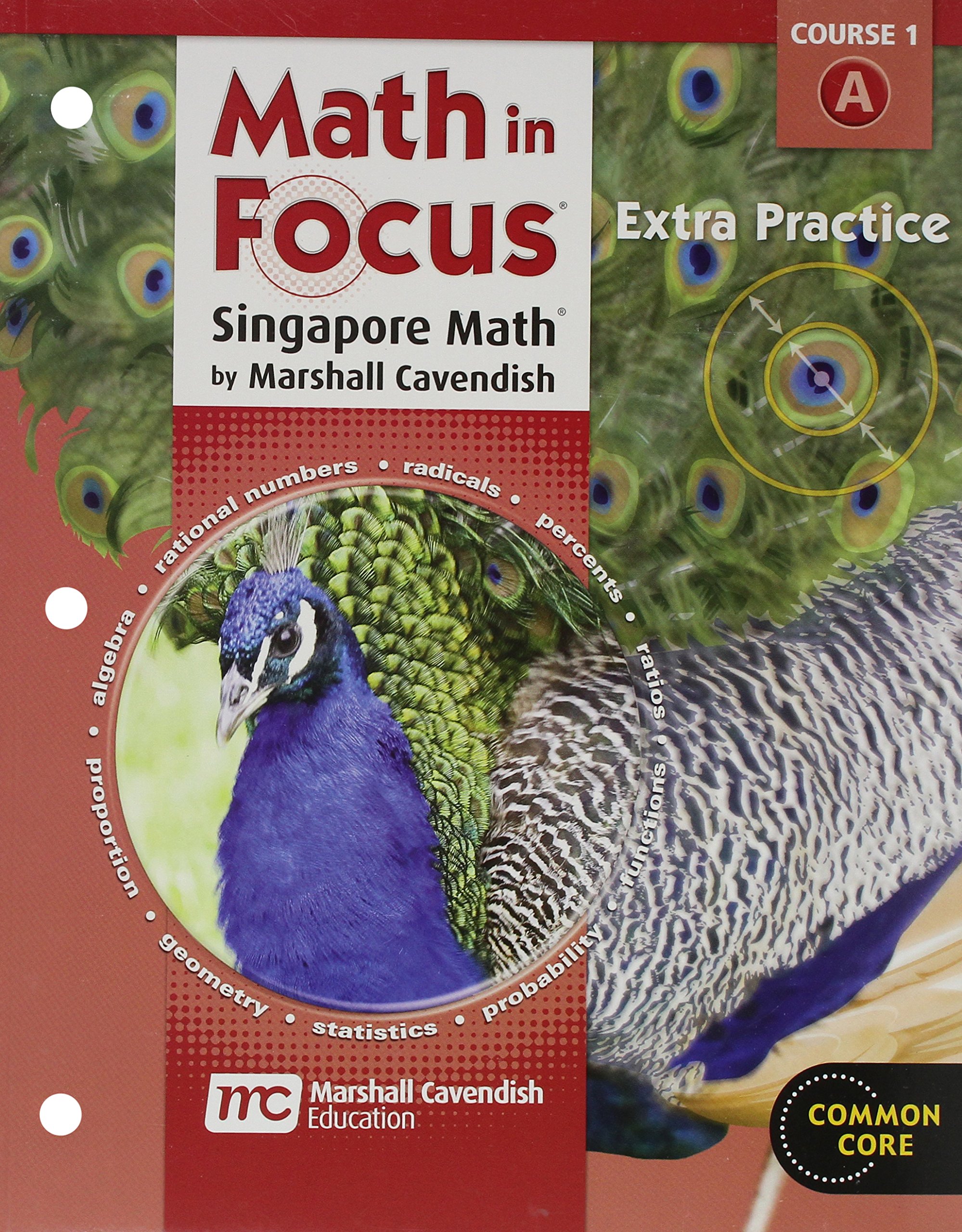 Mua Math in Focus: Singapore Math Extra Practice Book Grade 6 Math in Focus: Singapore Math ...