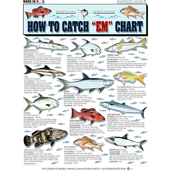 Atlantic Ocean Fish Chart Fishwatchers Reef Field Guide: Fishes Of