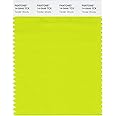 PANTONE Smart 14-0446X Color Swatch Card, Tender Shoots - House Paint ...