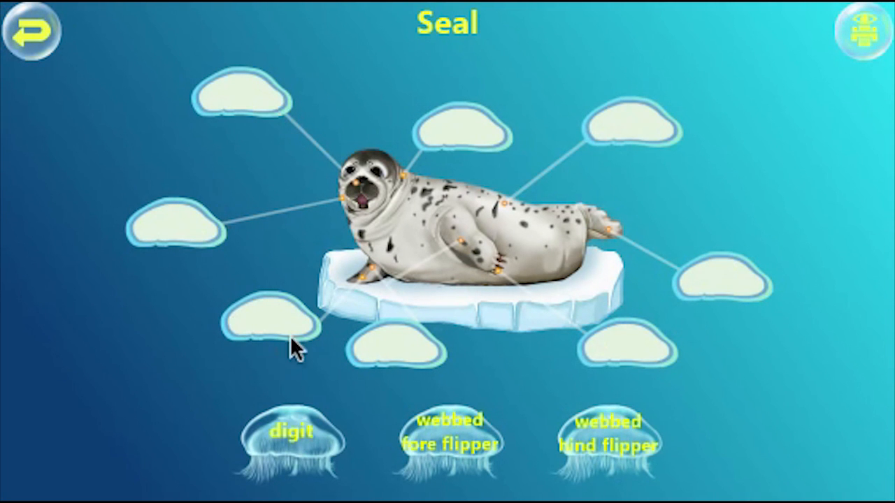 Amazing Ocean Animals- Educational Learning Apps for Kids - Aplicativo ...