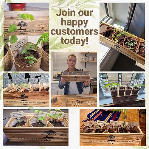 Lego Bonsai Tree Japanese Maple For Bonsai At Barbara Prior Blog ...