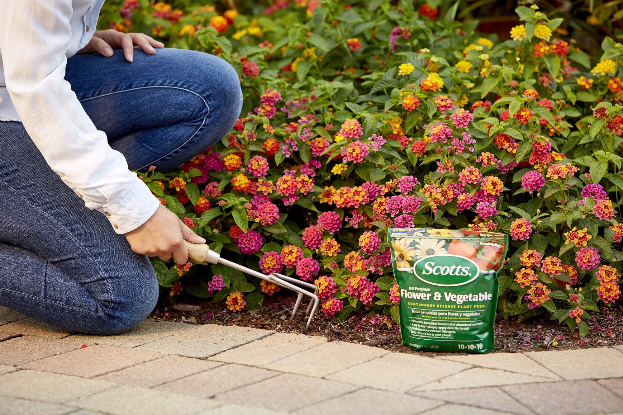 Mua Scotts All Purpose Flower and Vegetable Continuous Release Plant ...