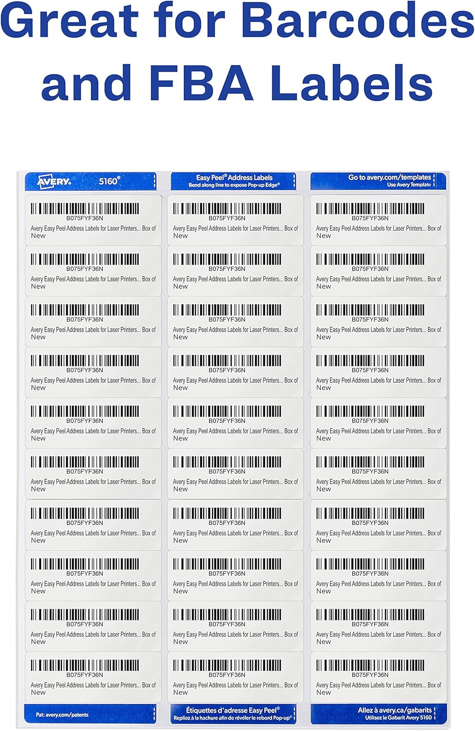 Avery 6460 Label Template Tbraceladvanc