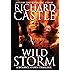 Amazon.com: Castle: Richard Castle's Storm Season (Derrick Storm ...