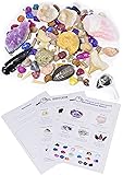 Fossil, Rock and Gemstone Box Collection. Set of 3 Boxes: Amazon.co.uk ...