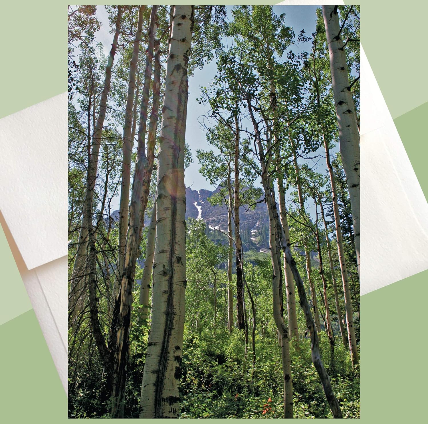 Amazon.com: Tall Trees Nature Note Cards, Set of 8: Handmade