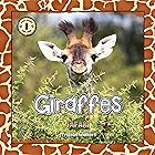 Amazon.com: Flamingos: Book for Kids | Stage 1 Reading Book | Early ...