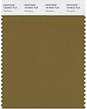 PANTONE Smart 17-6333X Color Swatch Card, Mint Green - House Paint ...